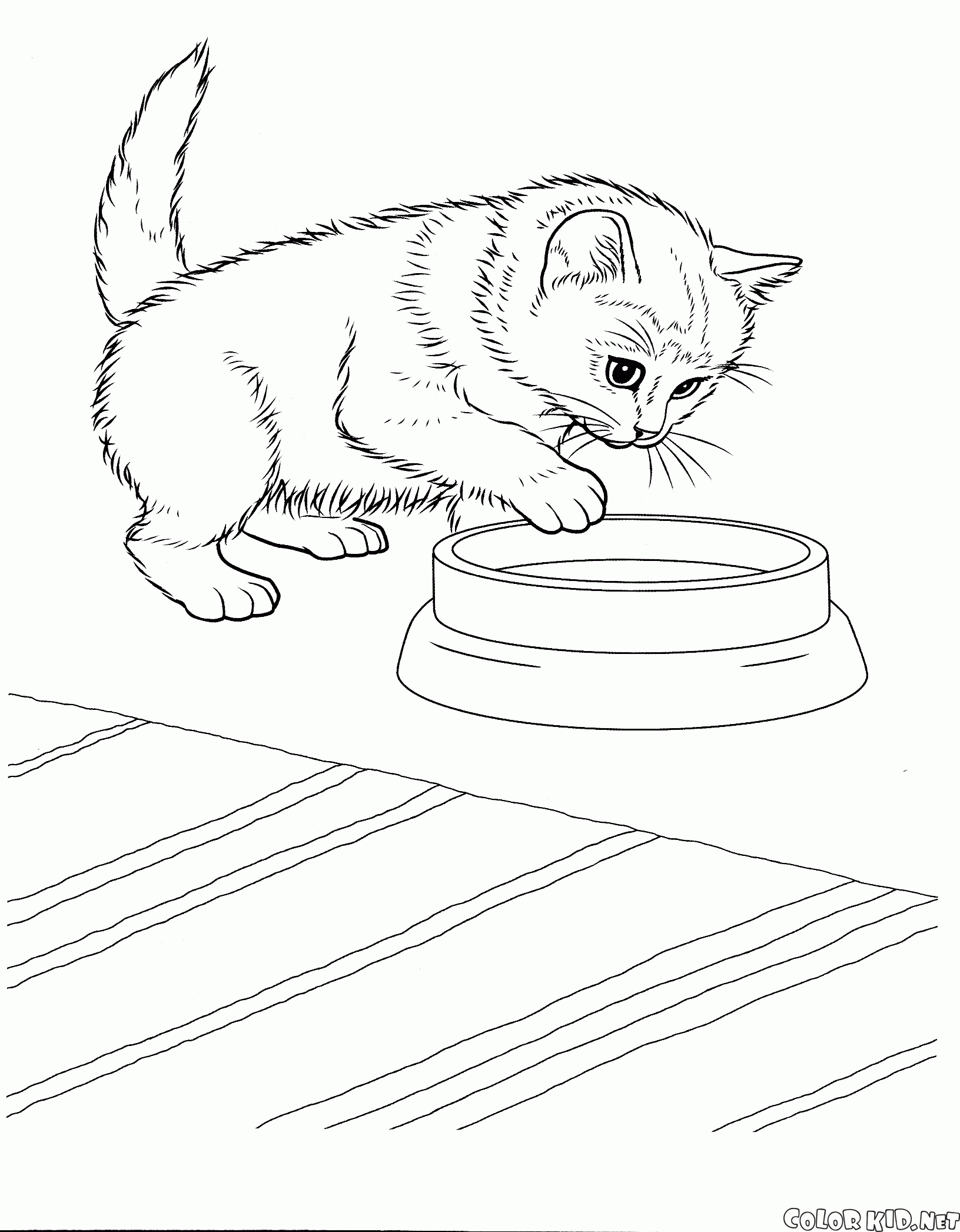 Coloring Page Gato Javan s Coloring Page Gato Javan s